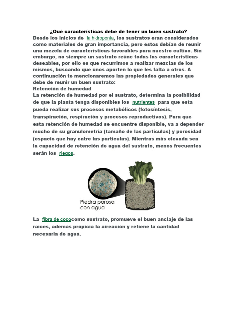 SUSTRATO | PDF | Hidroponia | Agua