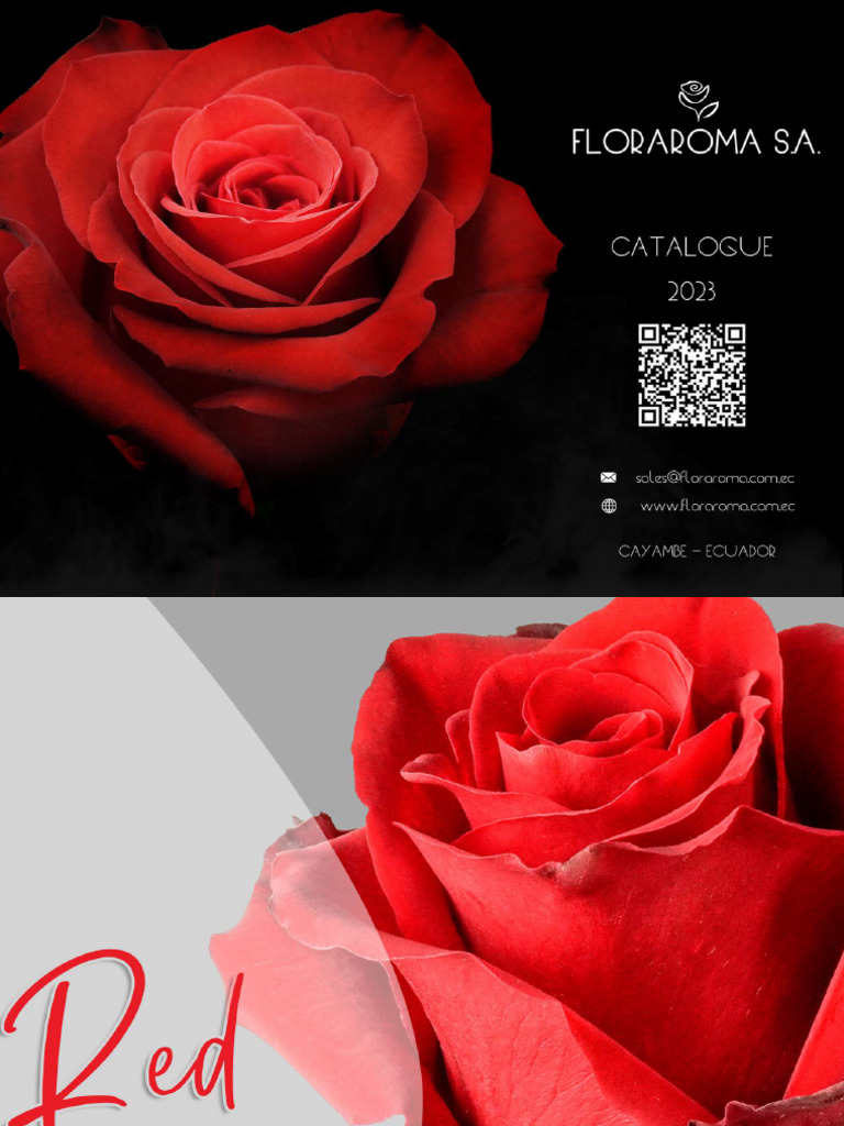 Productos de Floraroma: Variedad y Estilo | PDF