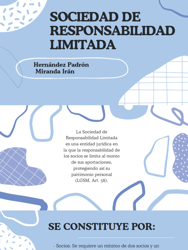 Presentación LGSM | PDF