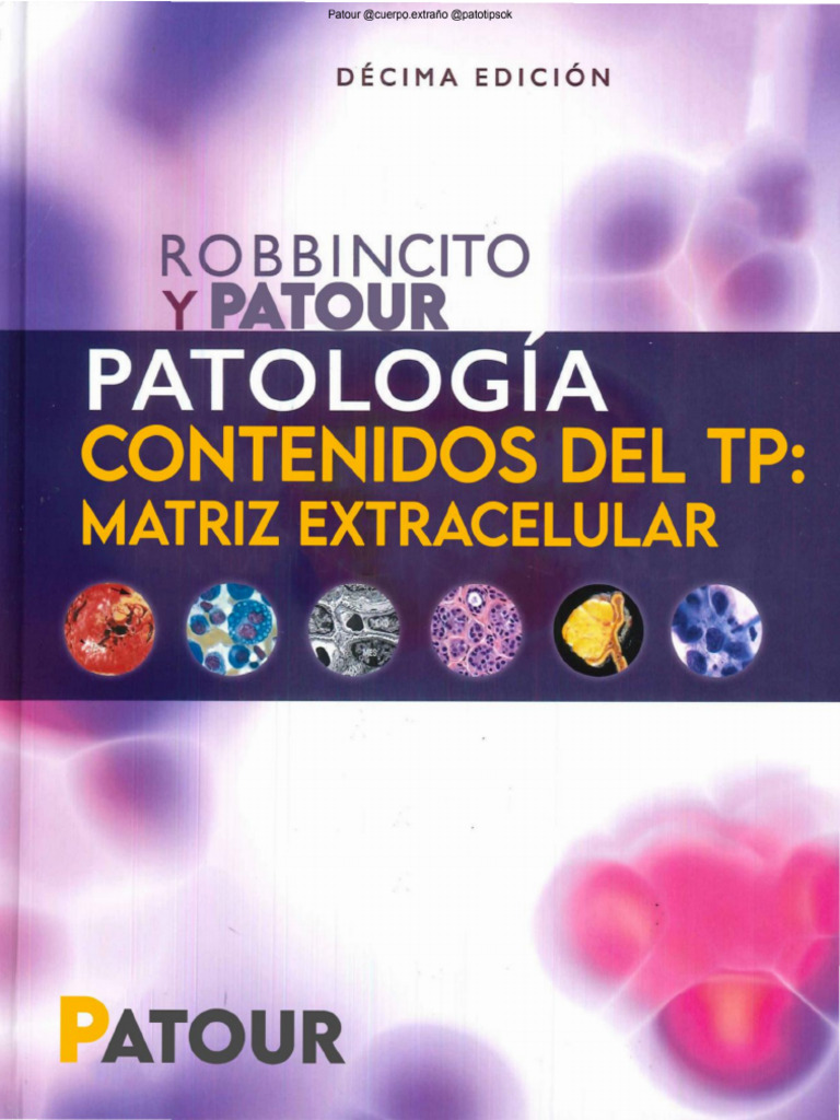 Robincito Tp2 - Matriz Extracelular | PDF