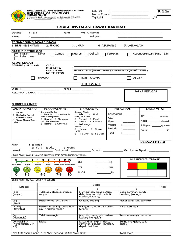 Triage Instalasi Gawat Darurat | PDF