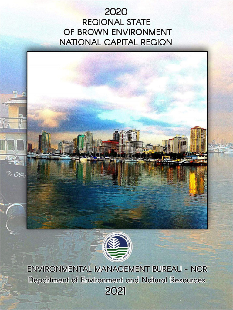 Brown Environment 2020 | PDF | Particulates | Metro Manila