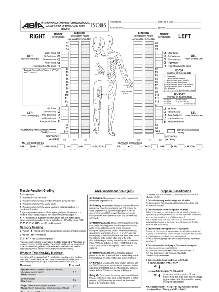 Spinal Cord ASIA Classification | PDF
