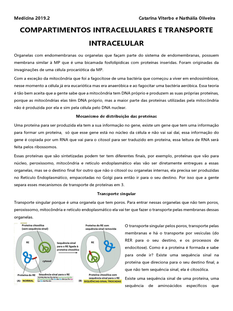 Aula 2 Compartimentos Intracelulares | PDF | Vesícula (Biologia e ...