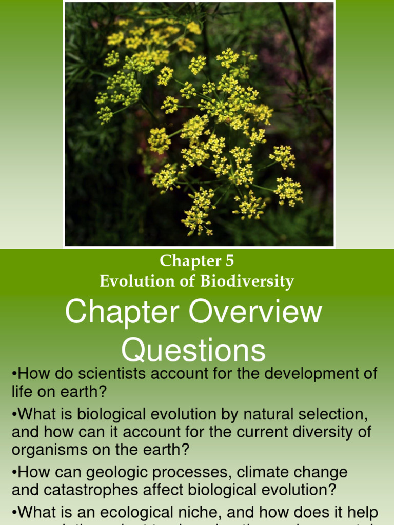 Biodiversity CH 5 and 18 | PDF | Evolution | Biodiversity