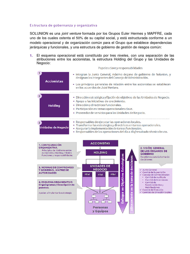 Lectura Recomendada - Estructura Organizativa de Solunion | PDF | Business | Negocios económicos
