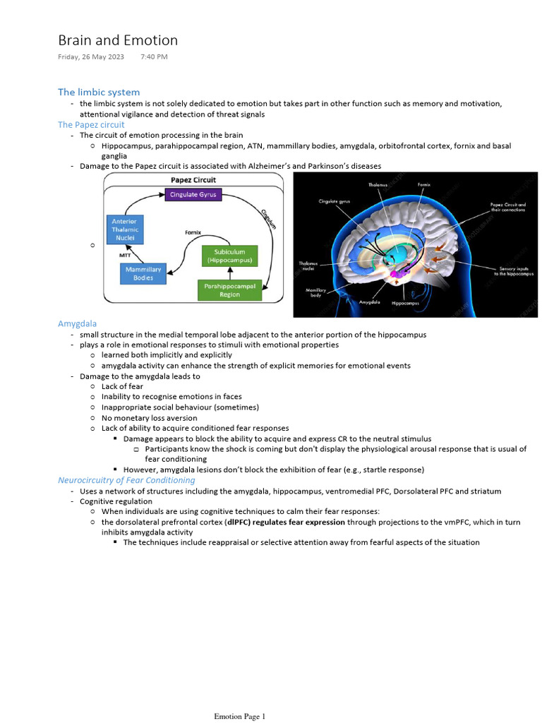 Emotion | PDF | Amygdala | Insular Cortex