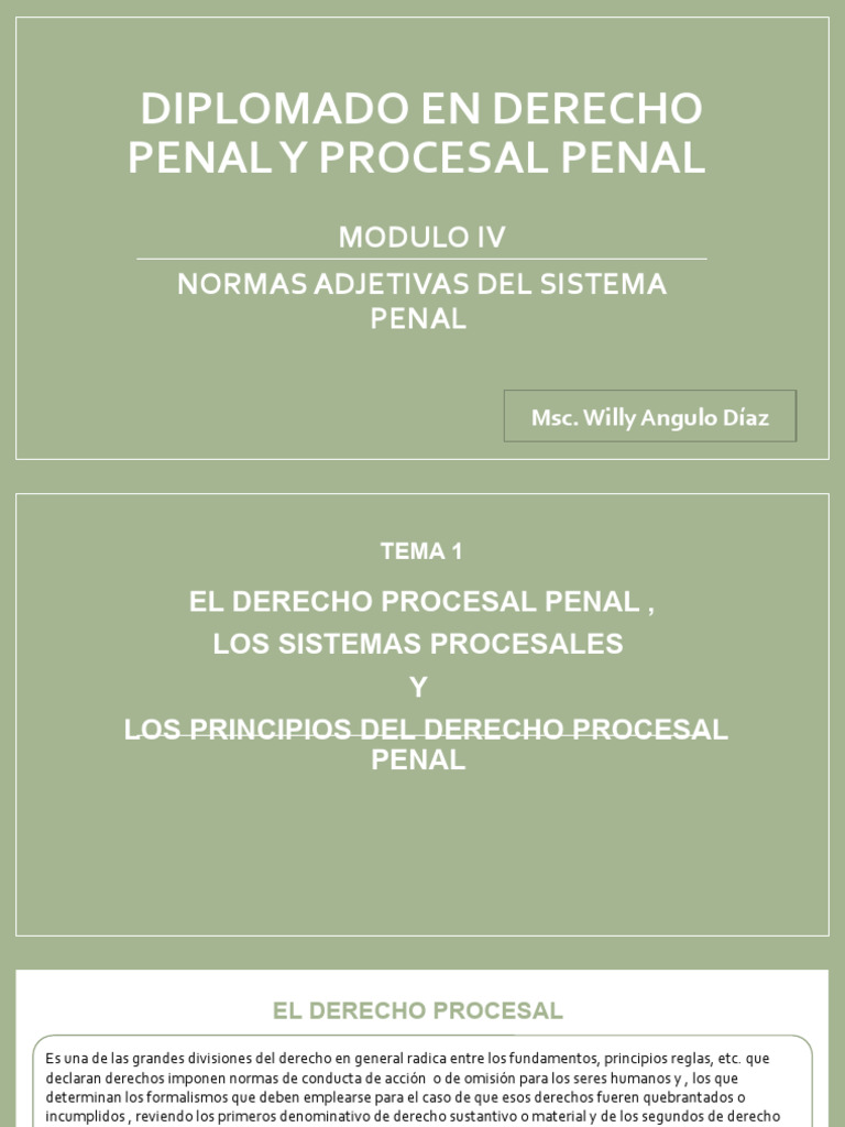 Derecho Procesal Penal: Fundamentos y Funciones | PDF | Ley procesal ...