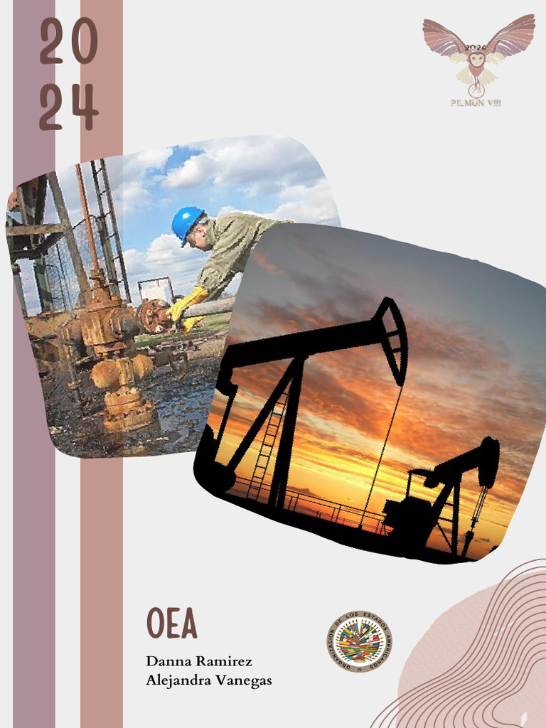 Comisión OEA: Conflictos Energéticos | PDF | America latina | Petróleo