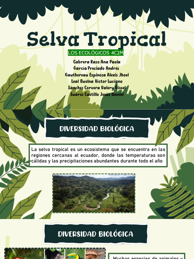 Selva Tropical | PDF