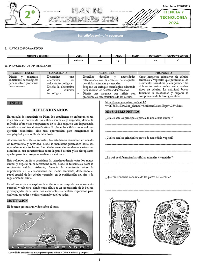 2° Actividad Celula Animal y Vegetal | PDF | Plantas | Biología Celular)