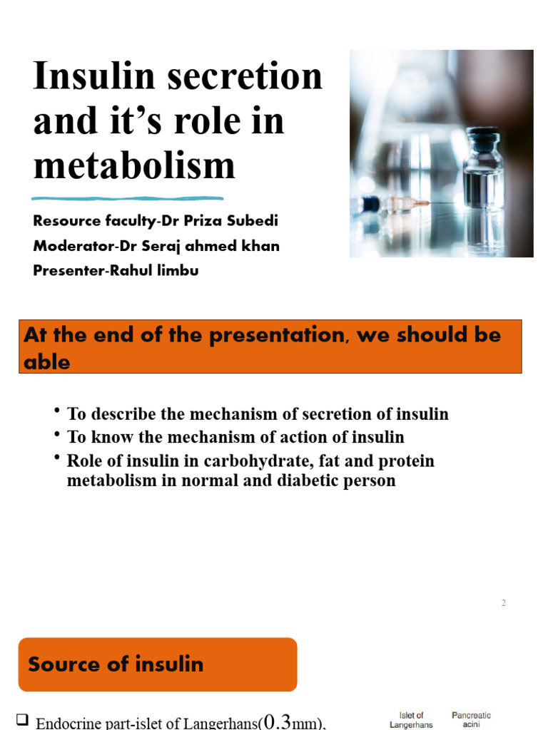 Insulin Secretion and It's Role in Metabolism Final | PDF | Insulin ...