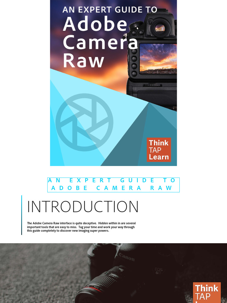 Camera Raw Optimized | PDF | Raw Image Format | Adobe Photoshop