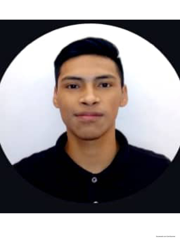 Imagen Elver David | PDF