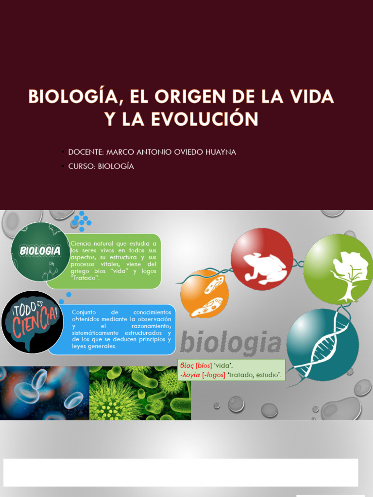1 Bio Origen, Evolución, Niveles, Población | PDF | Evolución | Abiogénesis