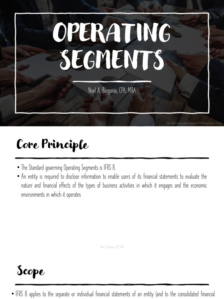 Operating Segments | PDF | Financial Statement | Revenue