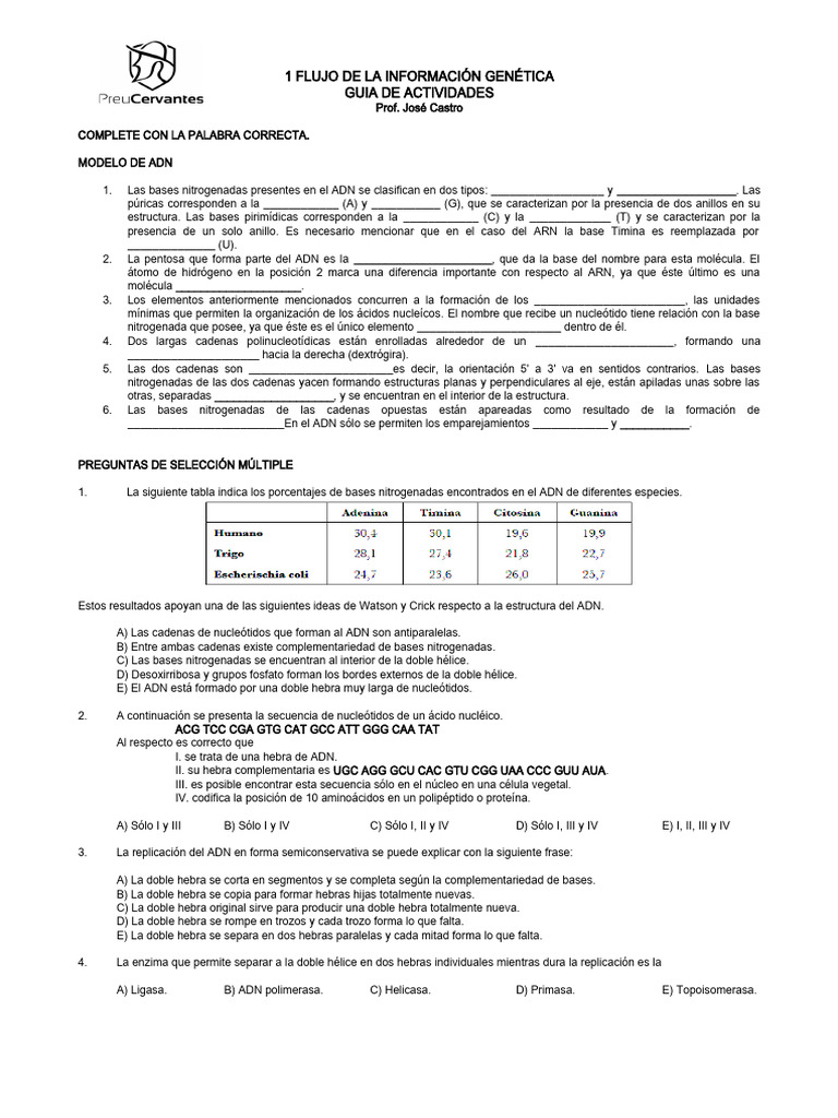1b Replicación - Transcripción Ejercicios Psu 2017 | PDF | Adn | Nucleótidos