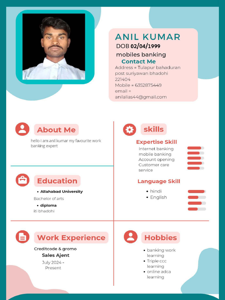 Anil Kumar Professional Resume CV | PDF
