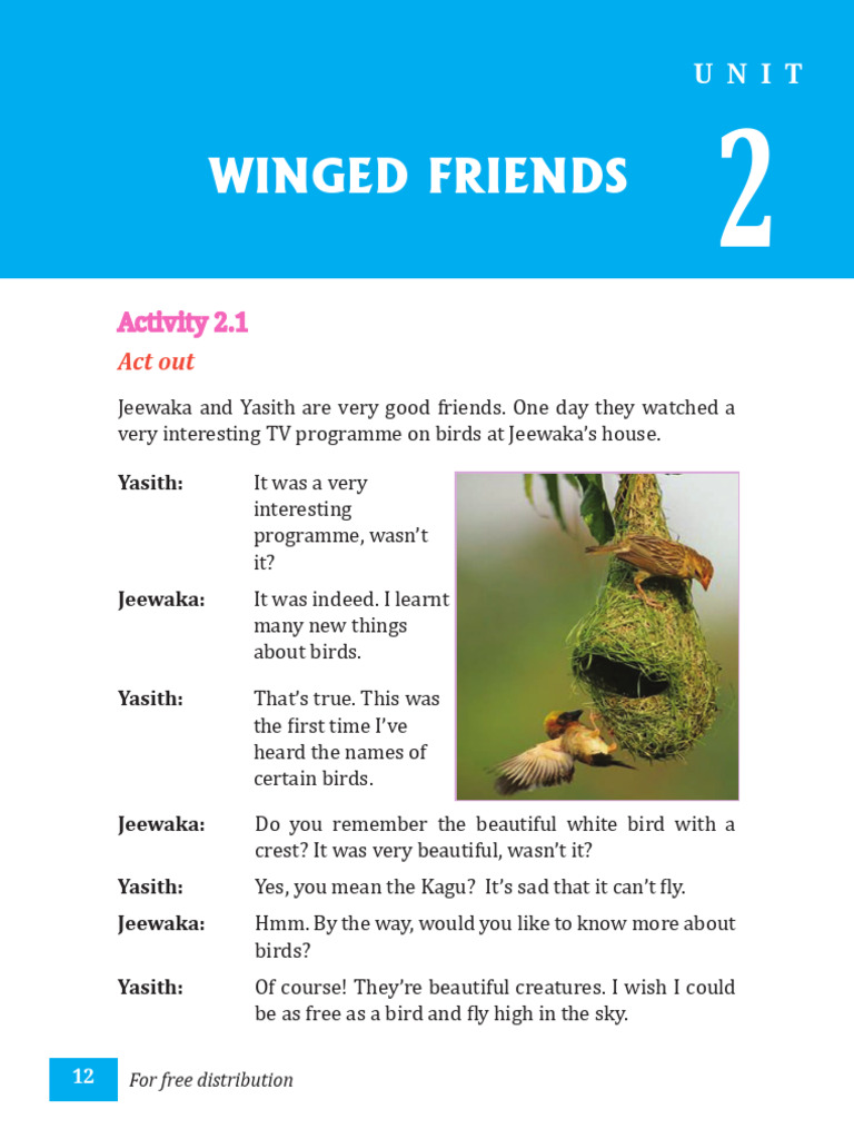 Winged Friends: Activity 2.1 | PDF | Penguin | Birds