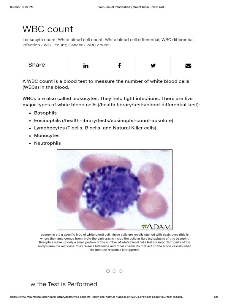 WBC Count Information - Mount Sinai - New York | PDF | White Blood Cell ...