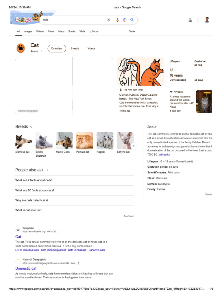 Cats - Google Search | PDF | Cats | Animals And Humans