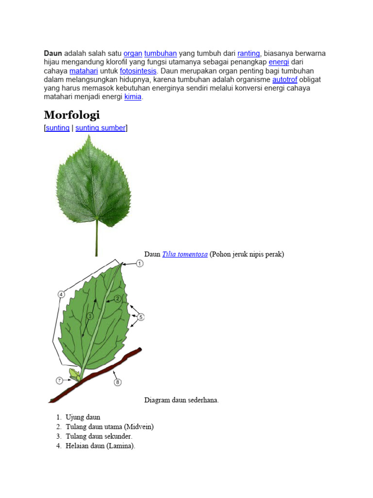 Daun 1 | PDF