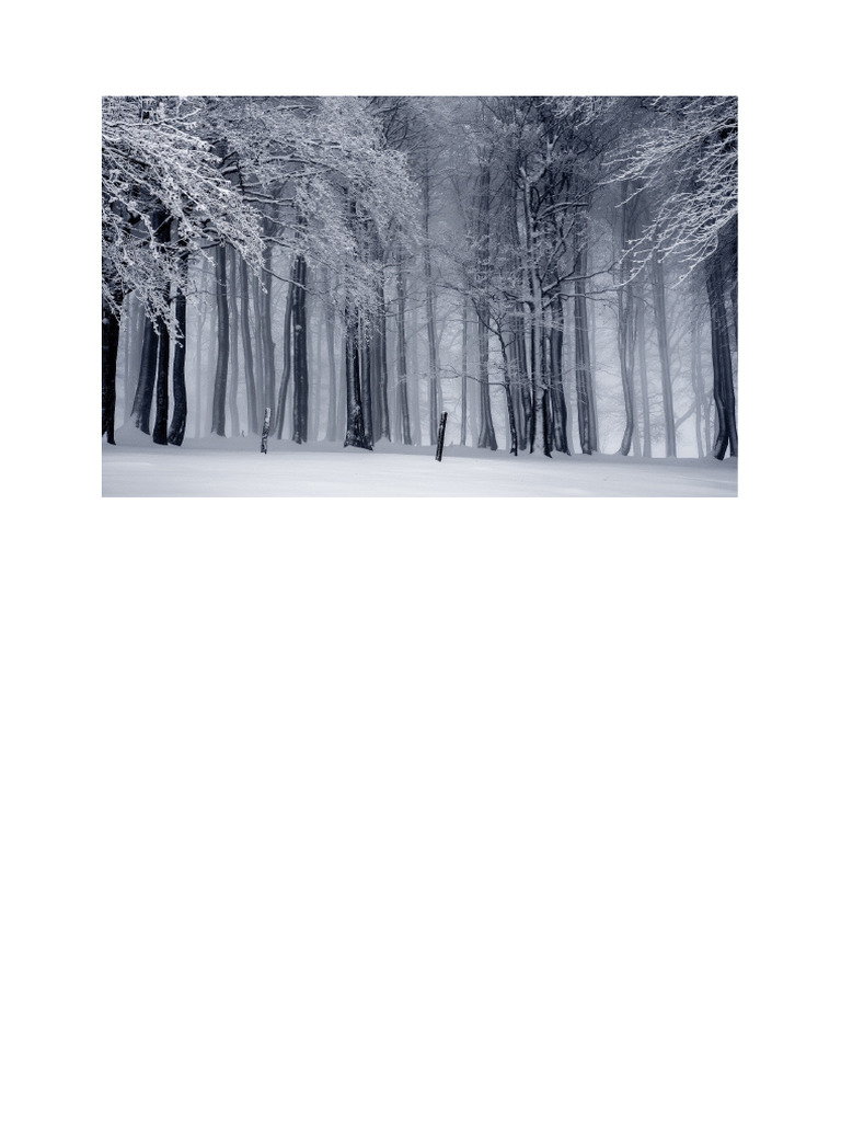 Dokumen 5 | PDF