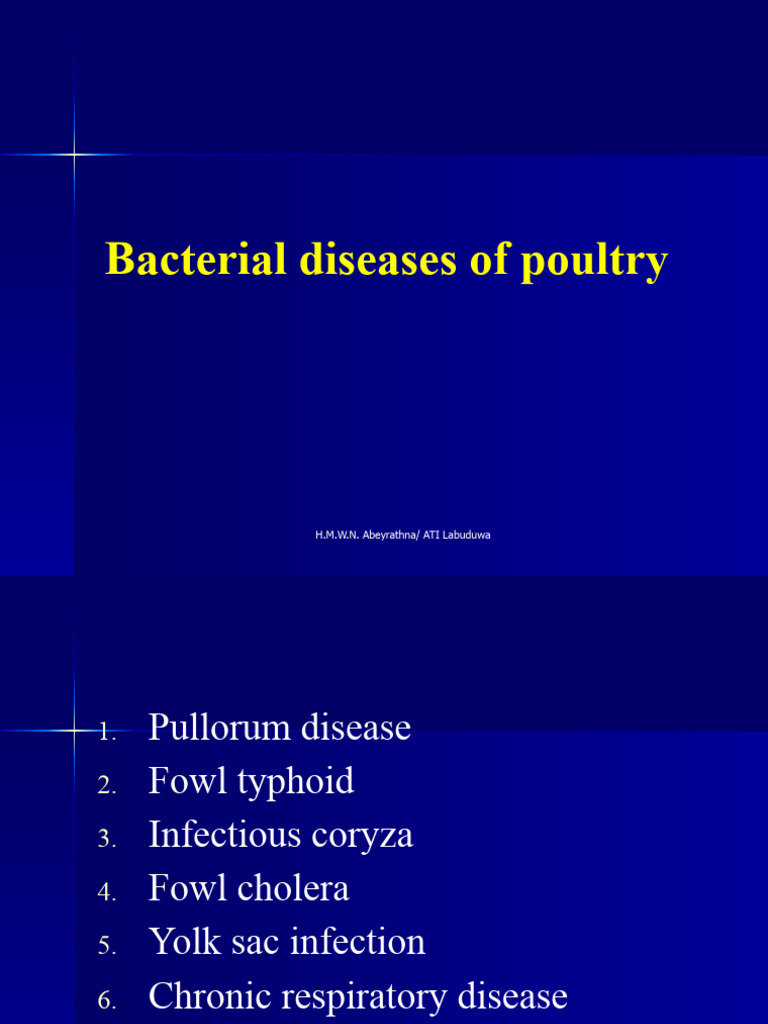 Bacterial Diseases of Poultry & Others - New | PDF | Chicken | Infection