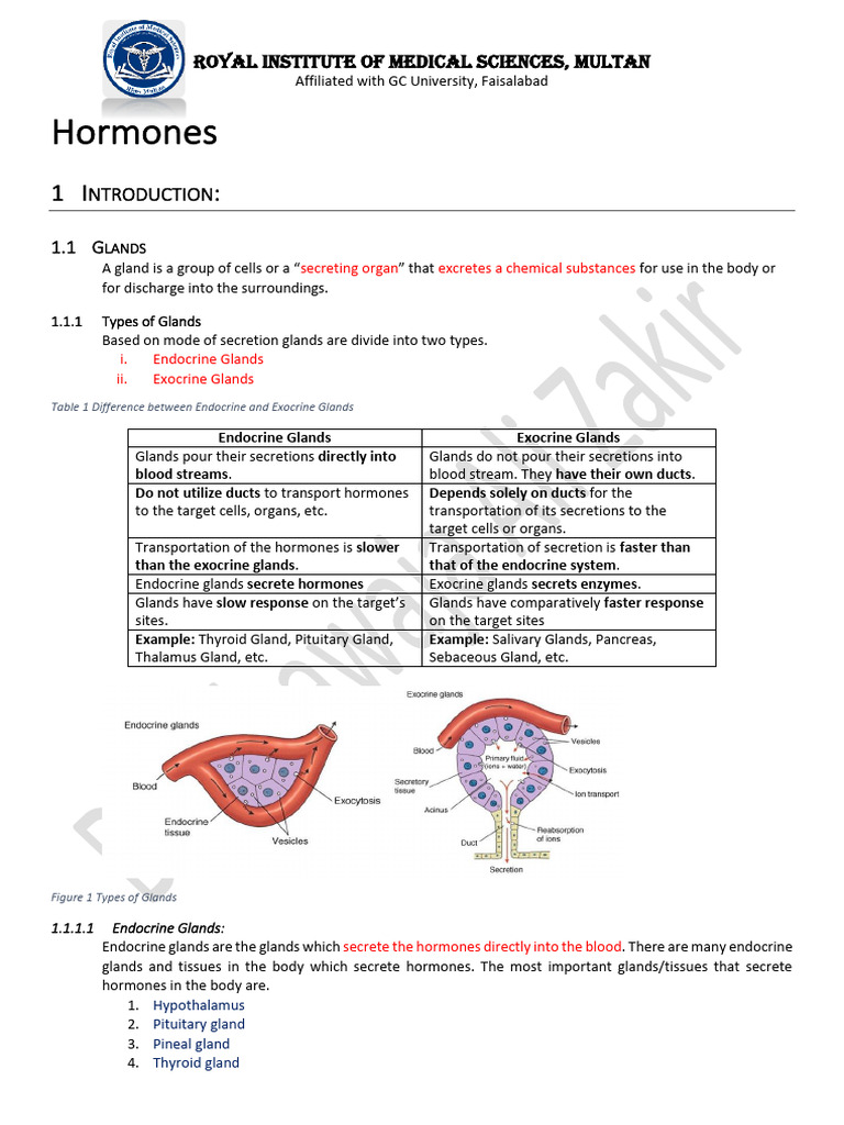 Hormones 1 | PDF | Hormone | Endocrine System