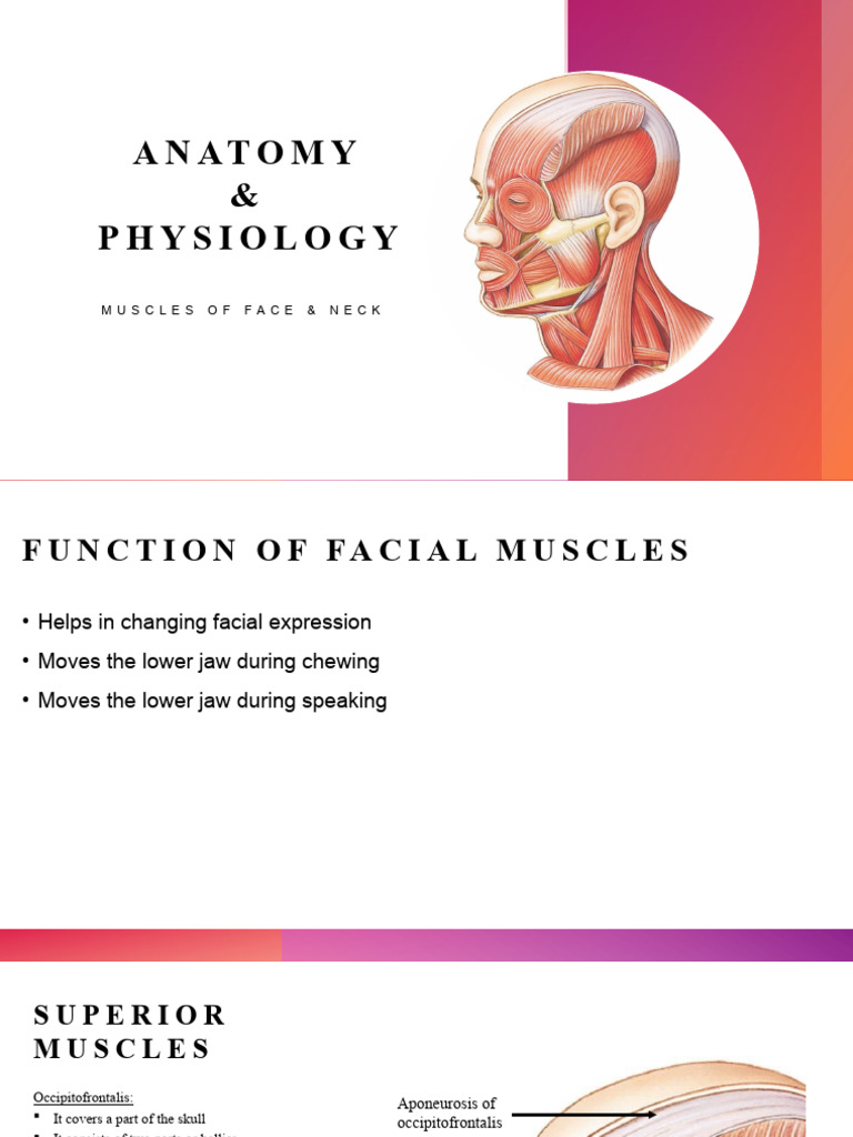 Face and Head Mu | PDF