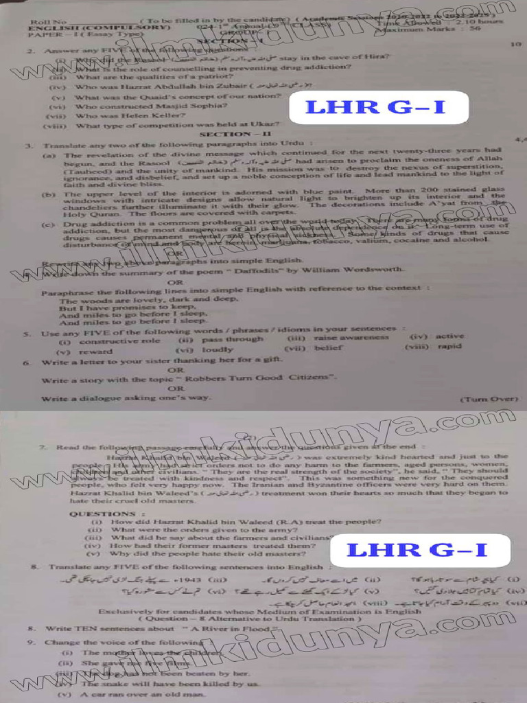 Past Paper 2024 Lahore Board Class 9th English Subjective | PDF