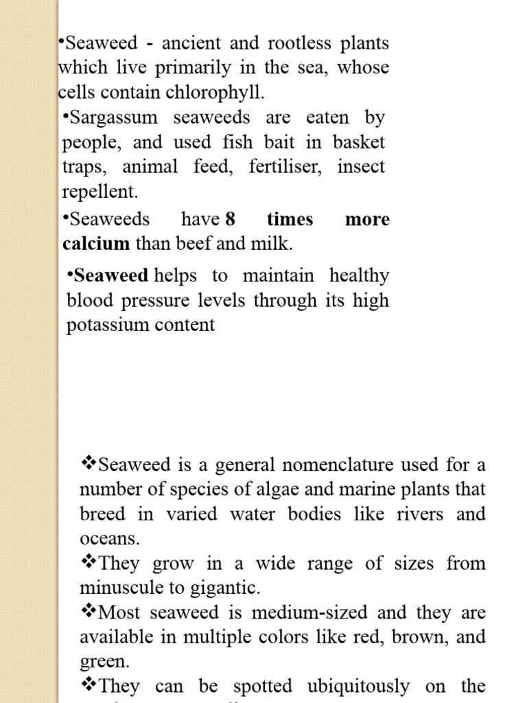 Class Seaweeds | PDF | Algae | Seaweed