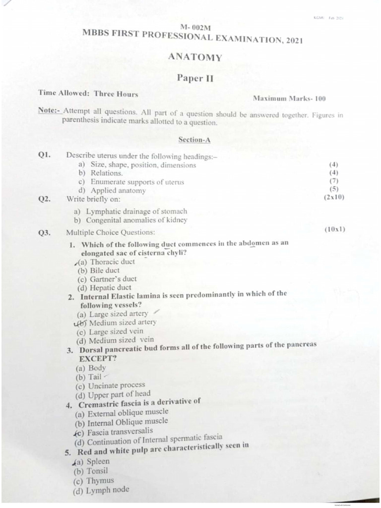 Anatomy1st Proff... 2019 Batch | PDF