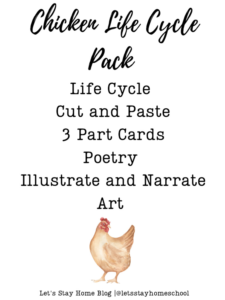 Chicken Life Cycle Freebie | PDF | Social Media | Popular Culture ...
