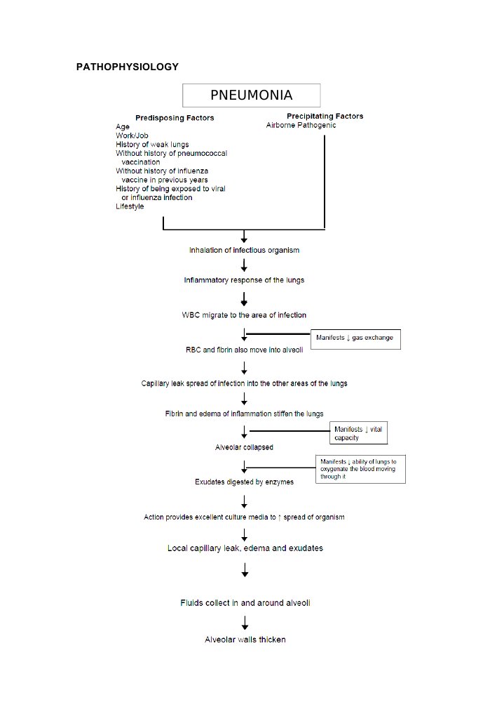 Bronchopneumonia Pathophysiology