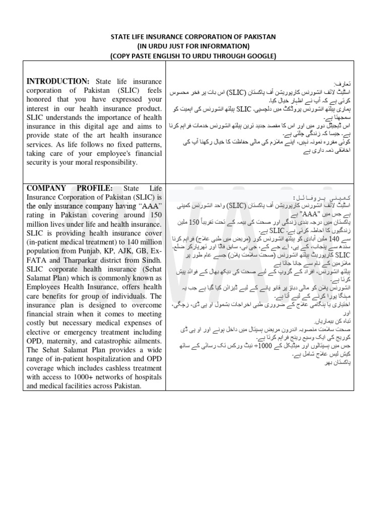State Life Insurance in Urdu | PDF