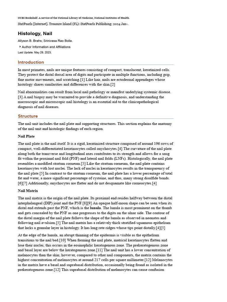 Histology, Nail - StatPearls - NCBI Bookshelf | PDF | Epidermis | Nail ...