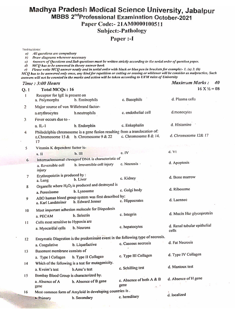 2nd Prof 2018 Batch University Paper | PDF