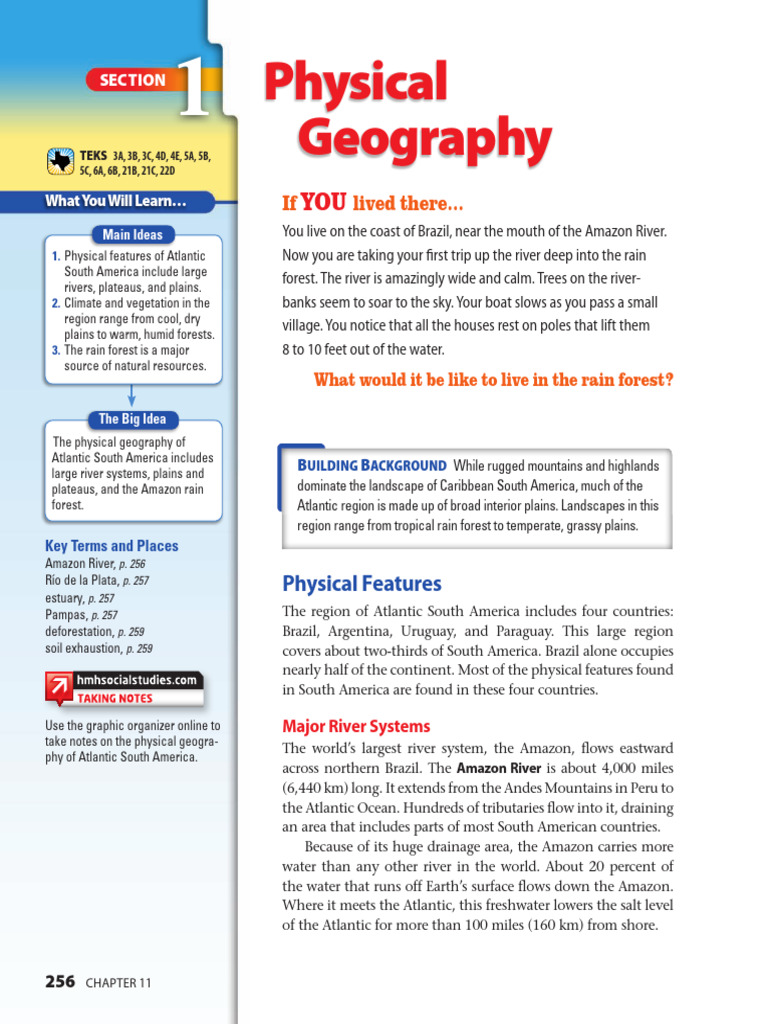 Chapter 11 Section 1 Reading | PDF | South America | Forests