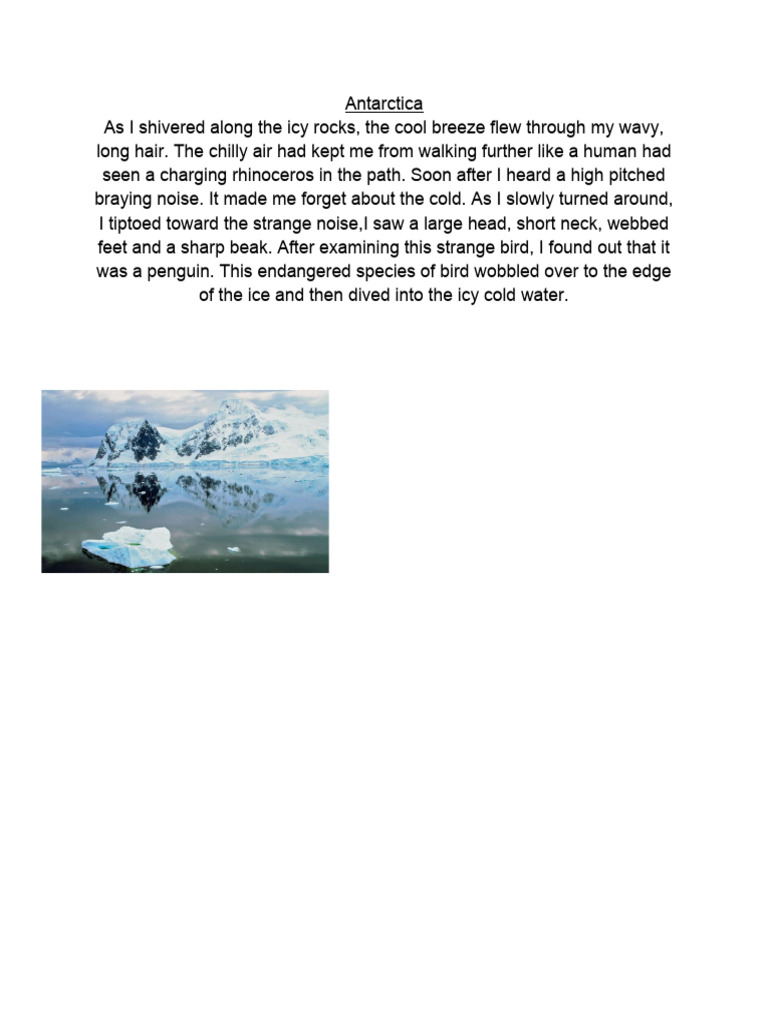 Encountering Penguins in Antarctica | PDF