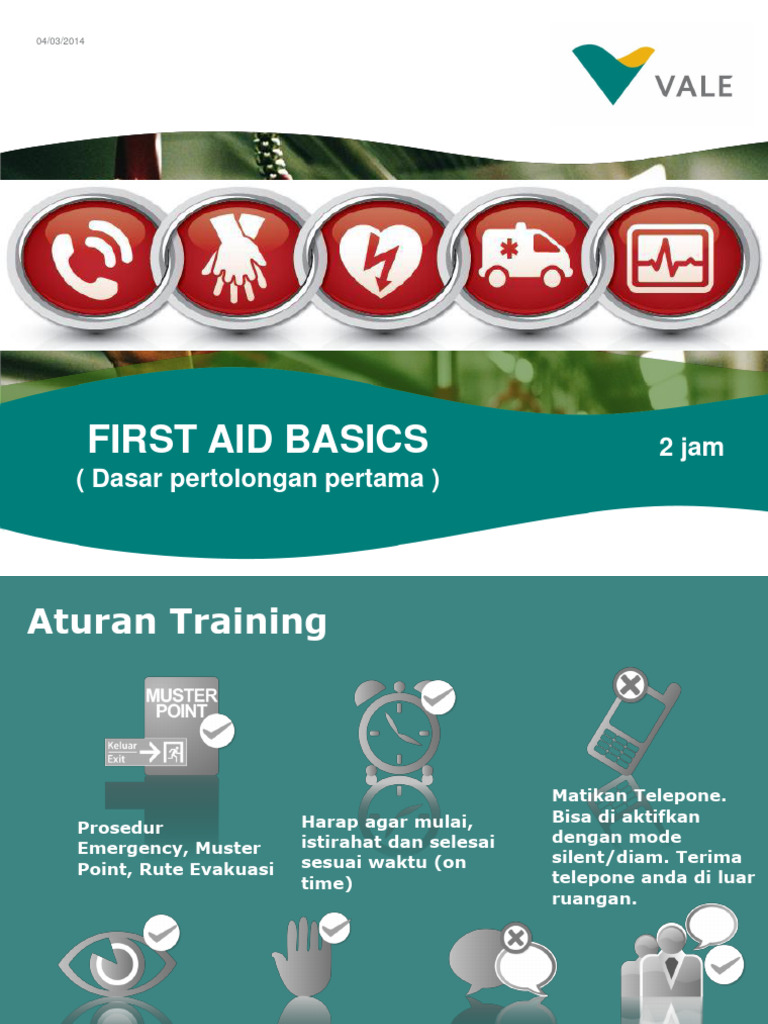 Basic First Aid | PDF