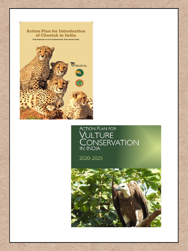 Clean Brown Paper Texture Background Page Border | PDF