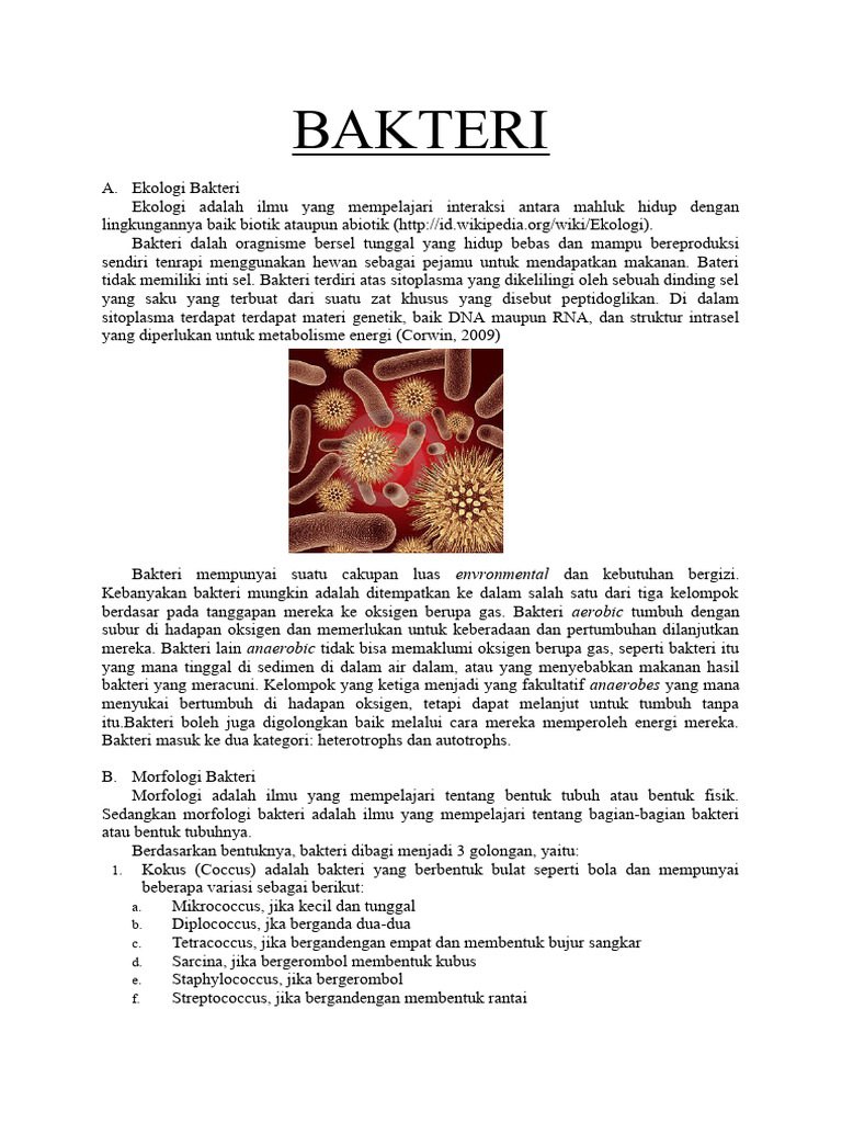 BAKTERI | PDF