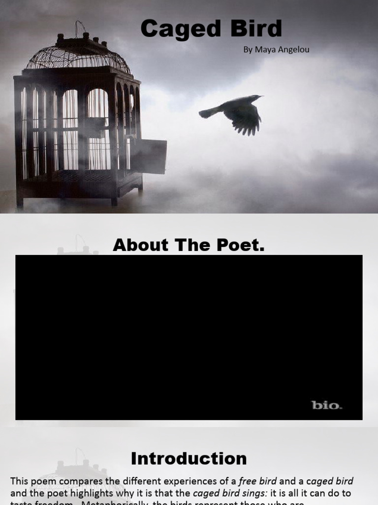 Maya Angelou's "Caged Bird" Analysis | PDF | Politics And Race ...