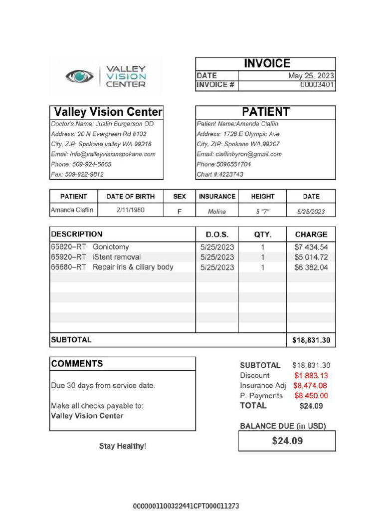 Valley Vision Center Invoice Details | PDF