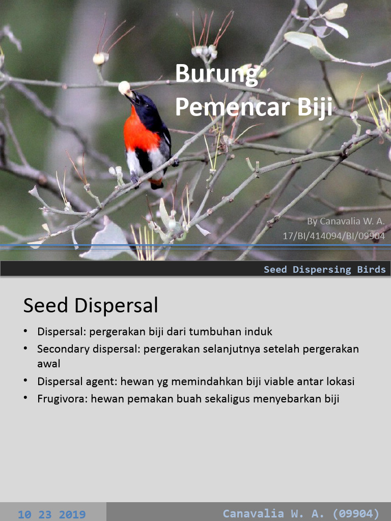 Seed Dispersing Birds | PDF | Plants