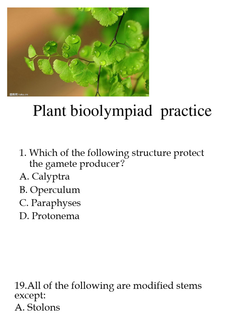 Plant Bioolympiad Practice Questions | PDF | Plants | Botany