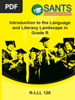 Teaching Grade R: Curriculum Insights | PDF
