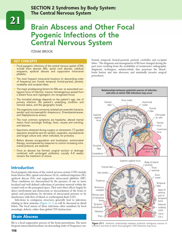 Brain Abscess and Other Focal | PDF | Neurology | Diseases And Disorders