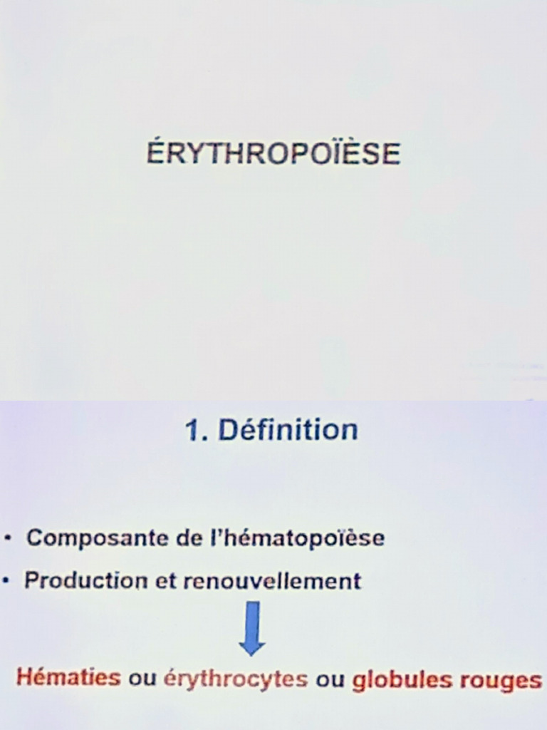 Chapitre 3 - Exploration Des Cellules Sanguines | PDF